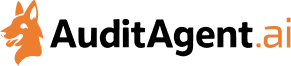 AuditAgent - AI Agent